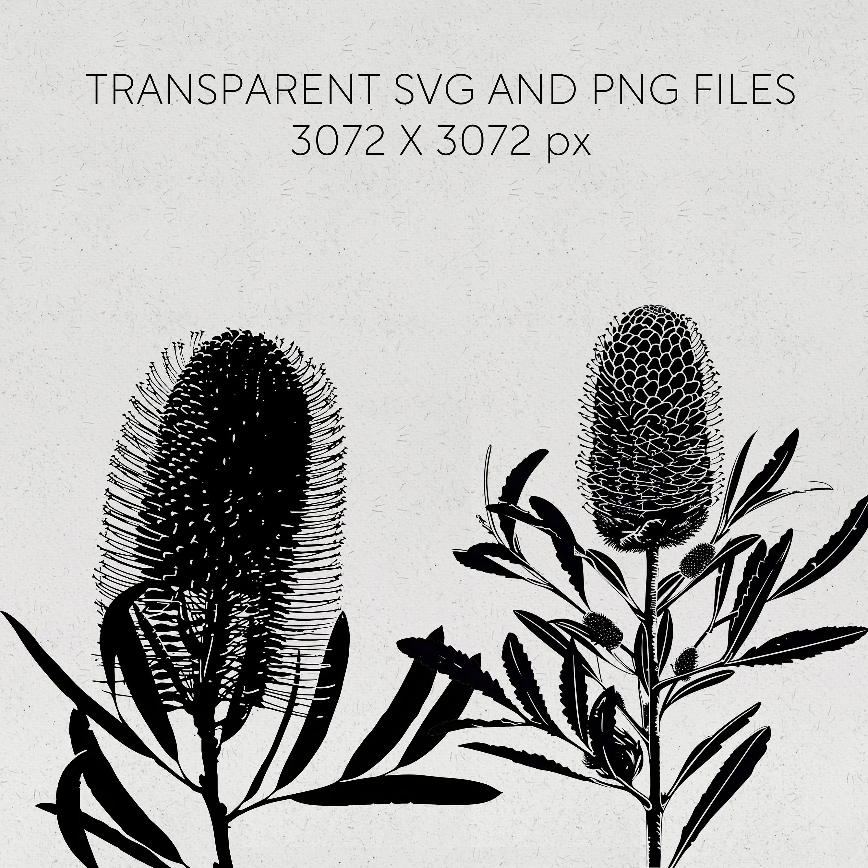 Australian Native Flowers SVG Aussie Botanicals Plotter File Svg ...