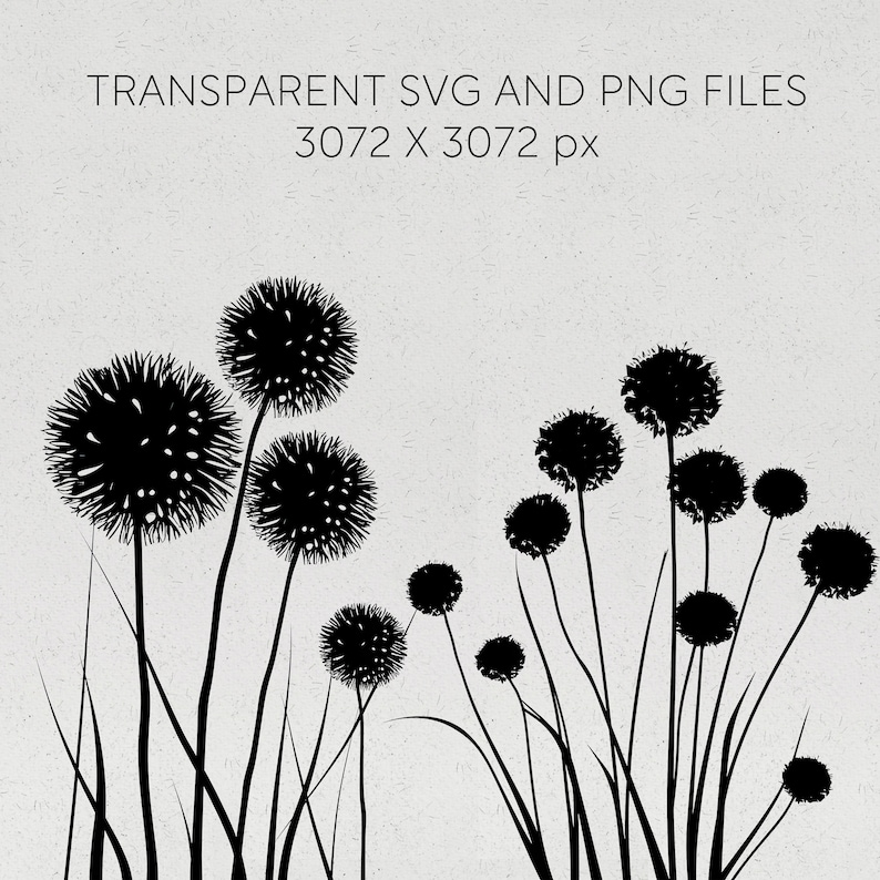 Australian Native Flowers SVG Aussie Botanicals Plotter File Svg ...