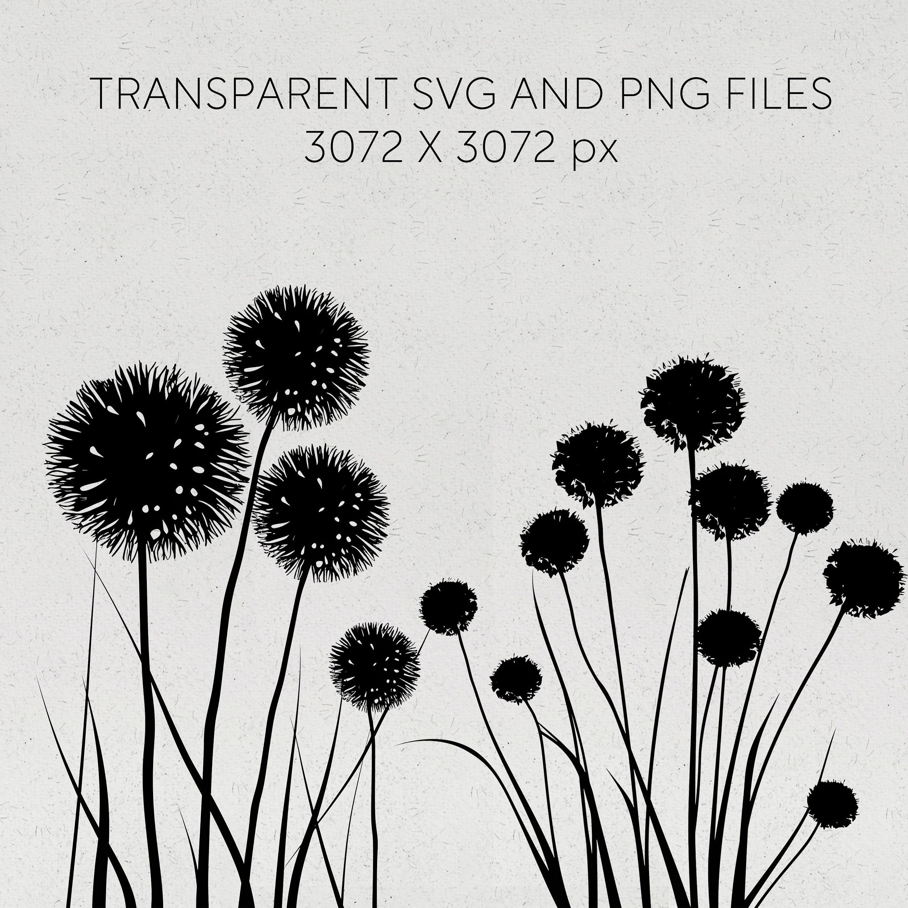 Australian Native Flowers SVG Aussie Botanicals Plotter File Svg ...