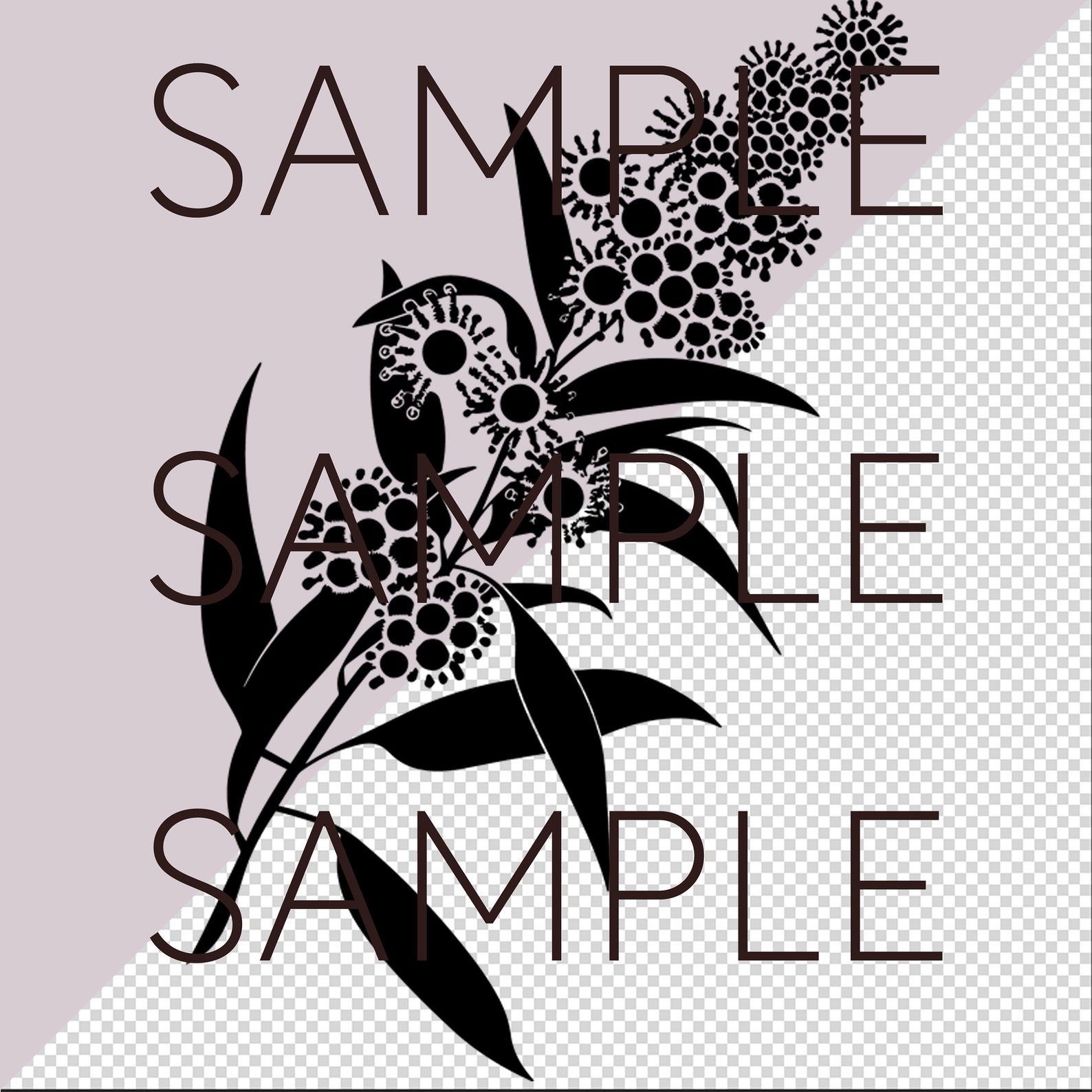 Australian Native Flowers Wattle SVG Aussie Botanicals Plotter File Svg ...