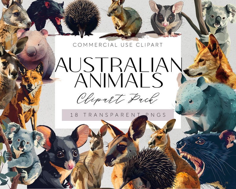 Australian Native Animals Clipart Aussie Kangaroo Illustrations ...