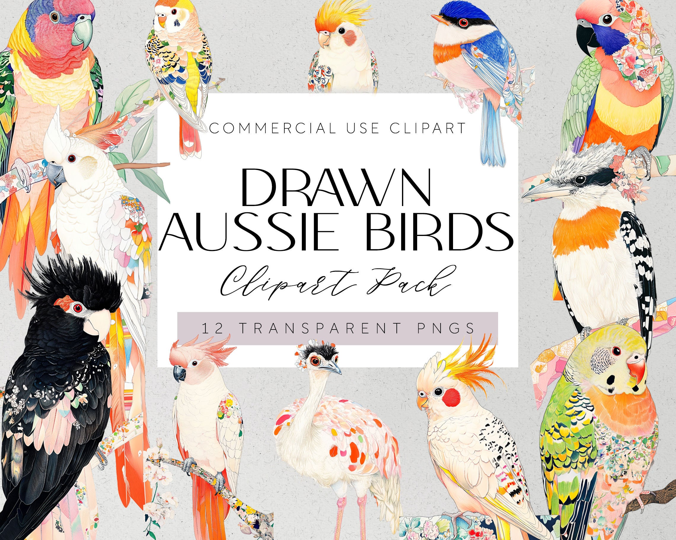 Australian Native Birds Floral Clipart Aussie Native Birds ...