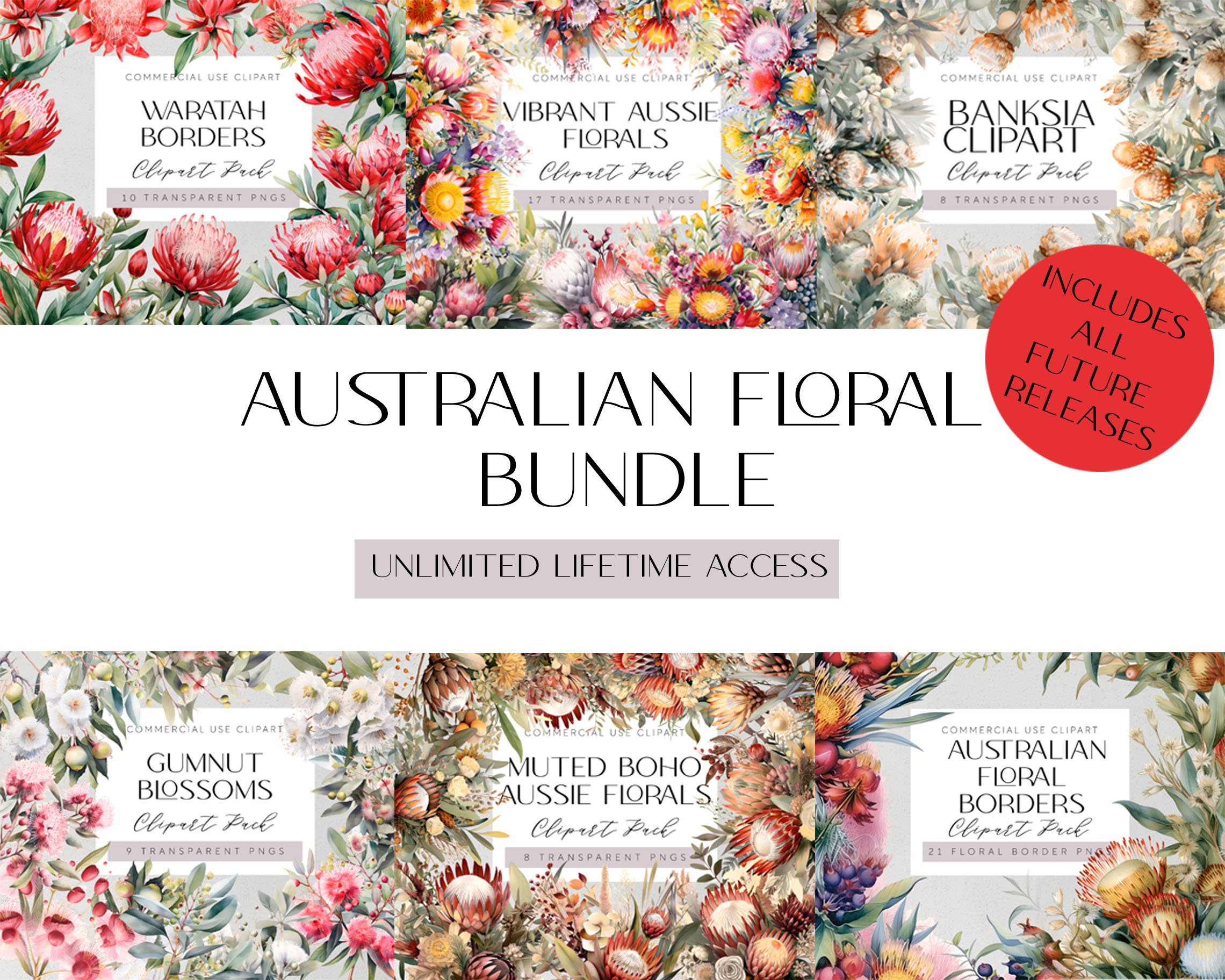 Australian Floral Clipart Bundle Lifetime Shop Access Banksia ...