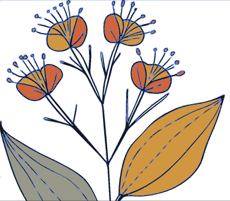 Australian Native Flowers SVG Aussie Botanicals Coloured Plotter File ...