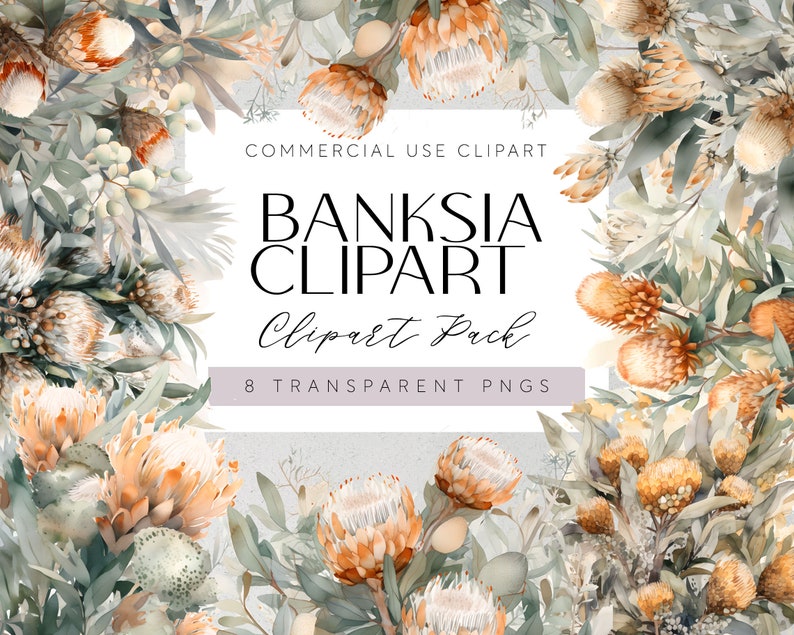 Australian Native Flowers Clipart Banksia Flowers Transparent - Etsy ...