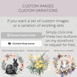 Australian Native Floral Border Australian Flowers Banksia Borders ...