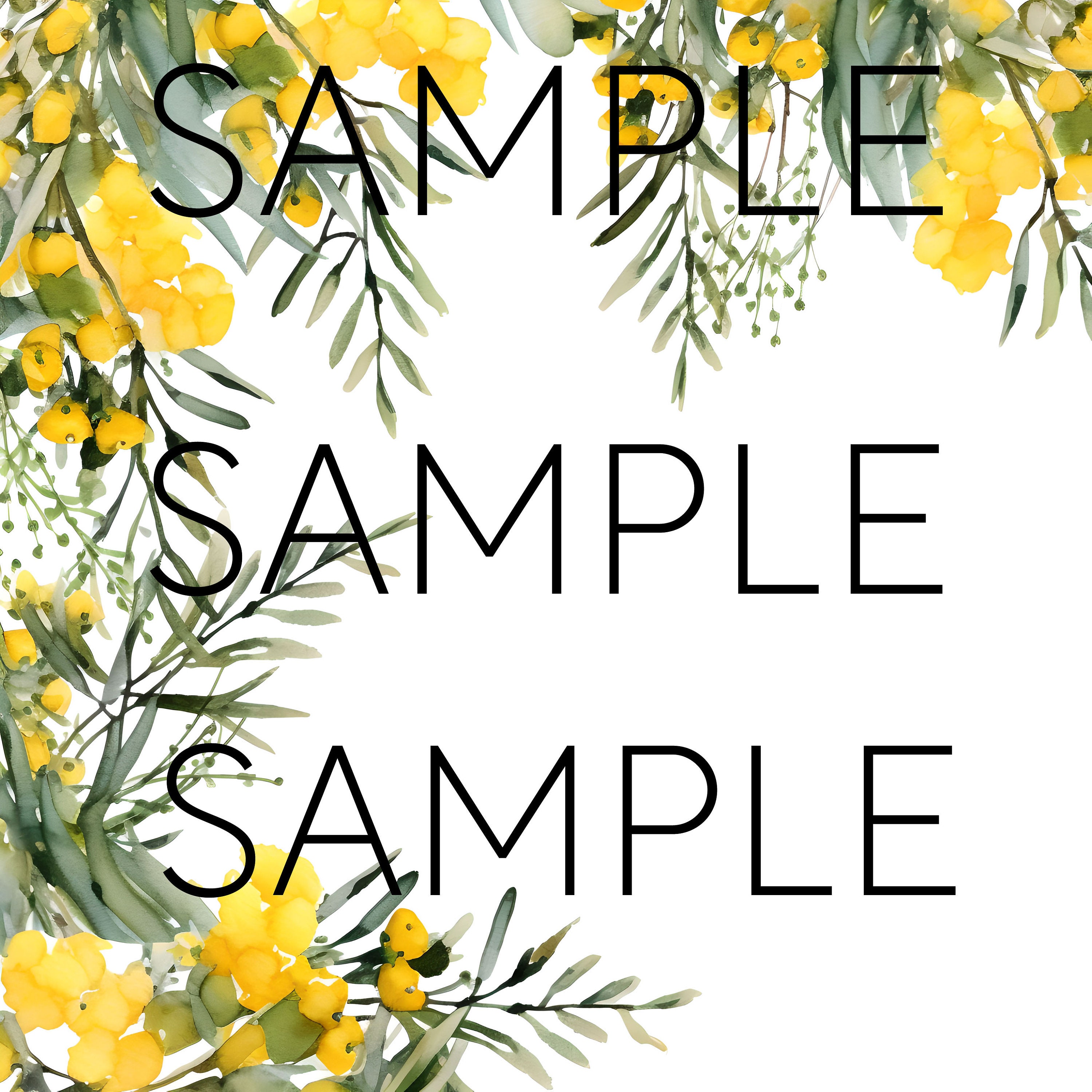 Australian Native Floral Border Australian Flowers Wattle Borders ...