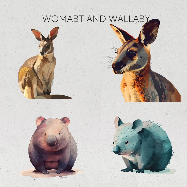 Australian Native Animals Clipart Aussie Kangaroo Illustrations ...