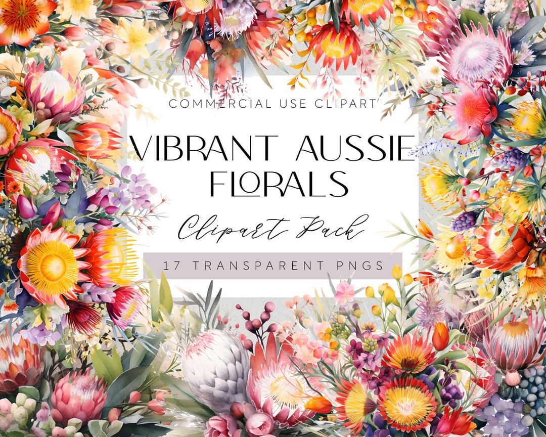Australian Native Flowers Clipart Bouquet Flowers Transparent Pngs ...