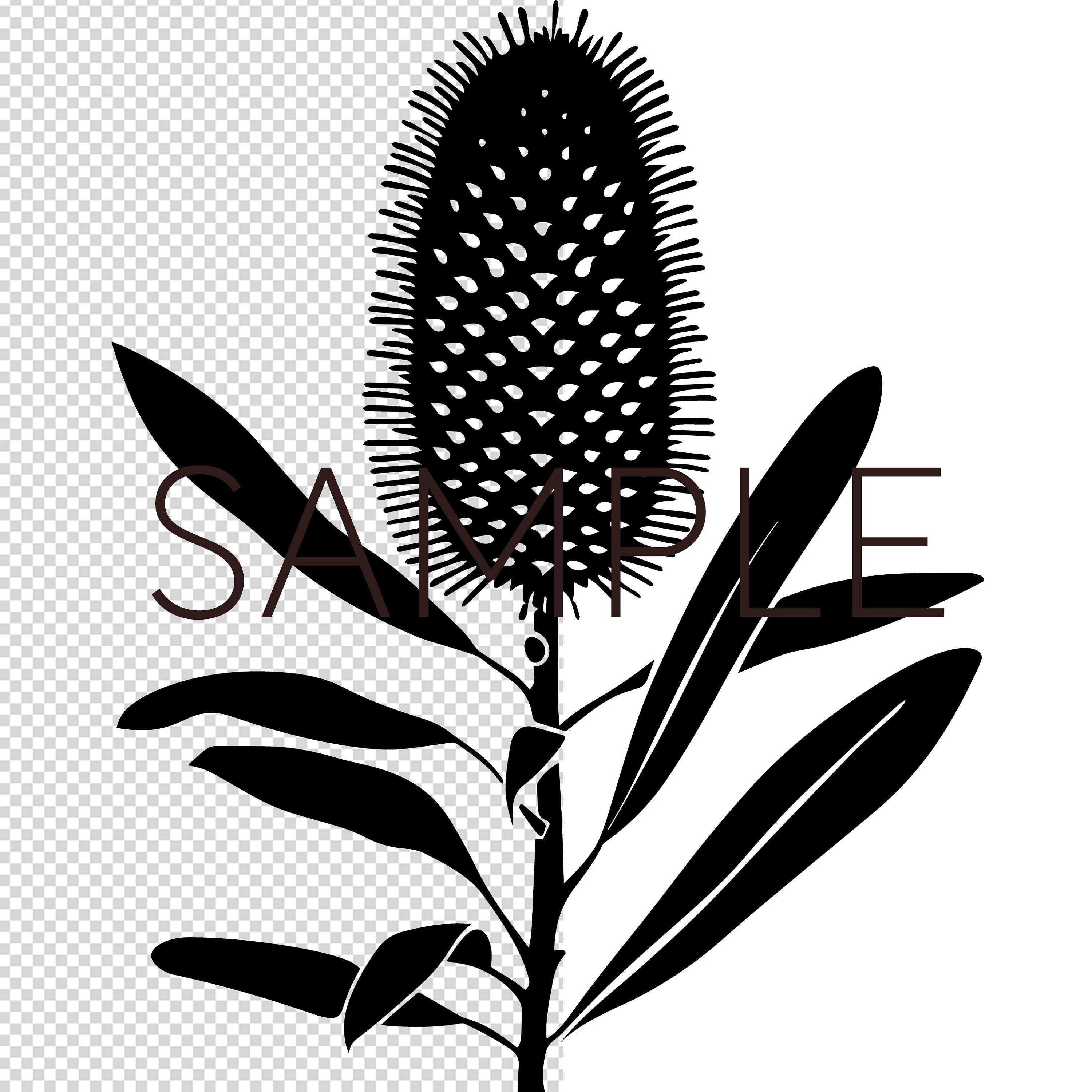 Australian Native Flowers Banksia SVG Aussie Botanicals Plotter File ...