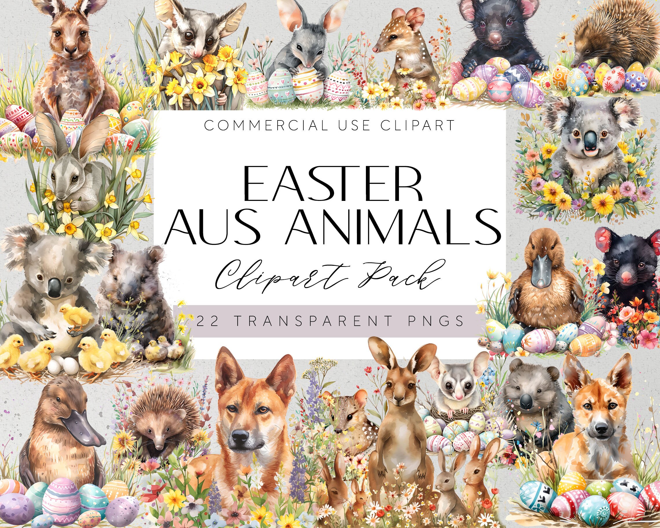 Easter Australian Native Animals Clipart Aussie Kangaroo Illustrations ...