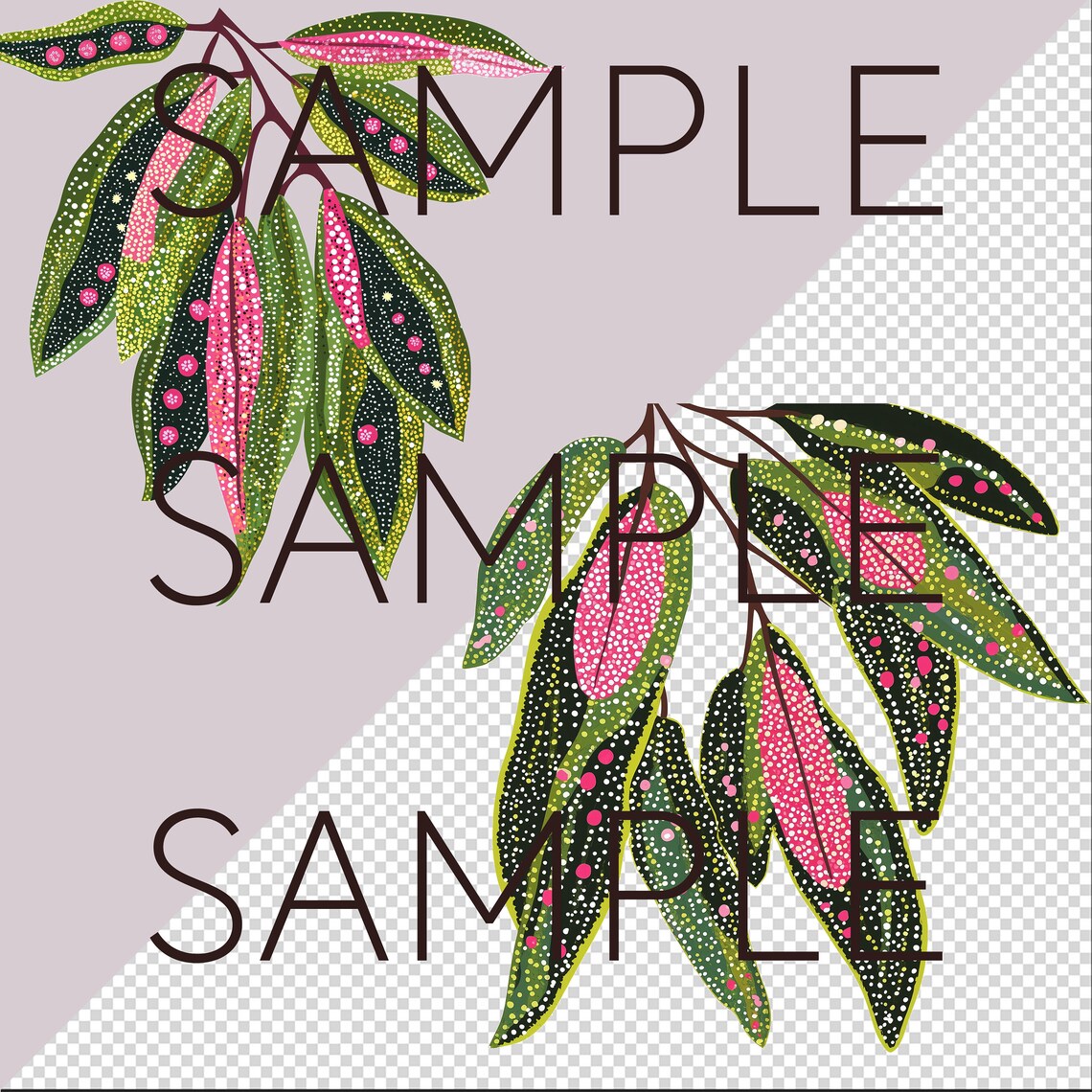 Aboriginal Australian Native Leaves Clipart Eucalyptus Transparent Pngs ...