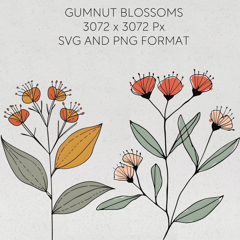 Australian Native Flowers SVG Aussie Botanicals Coloured Plotter File ...