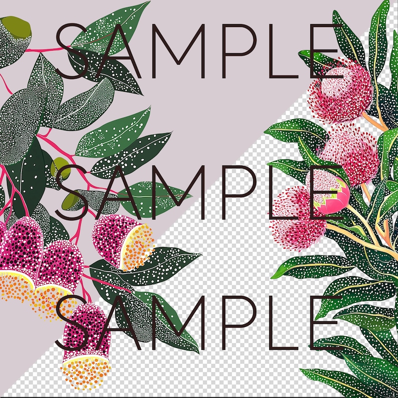 Aboriginal Australian Borders Native Flowers Clipart Flowers ...