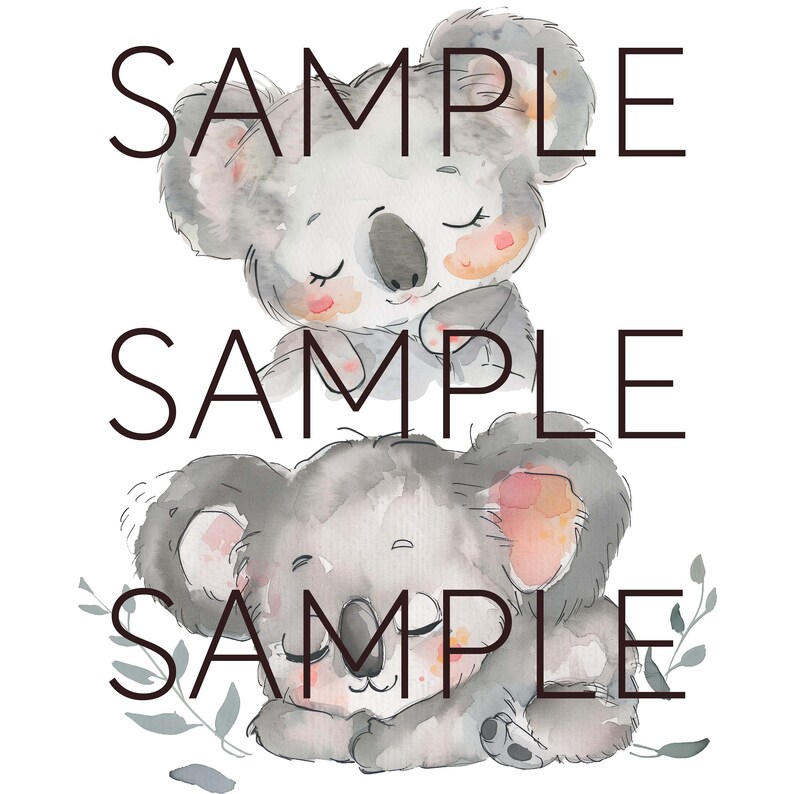 Koala Australian Native Animals Clipart Aussie Koala Illustrations ...