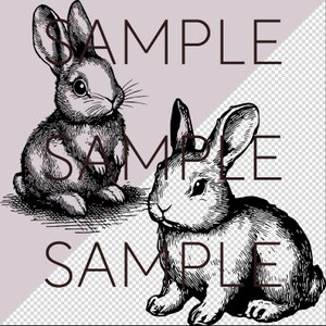 Vintage Rabbit SVG Teacup Bunny Plotter File Svg Maid Outfit Bunnies ...