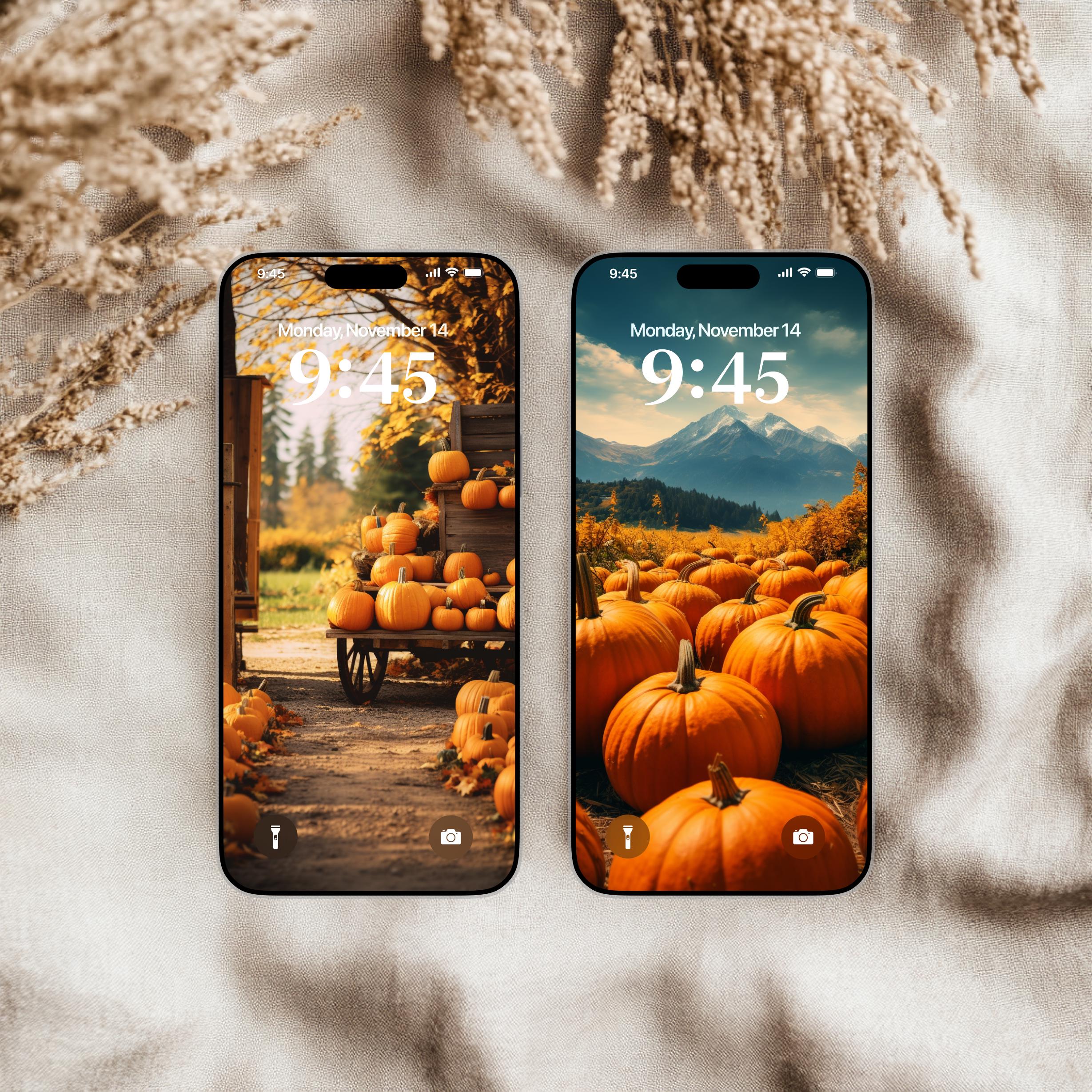 Pumpkin Patch Fall Aesthetic Wallpaper for Iphone, 8 HD Backgrounds ...