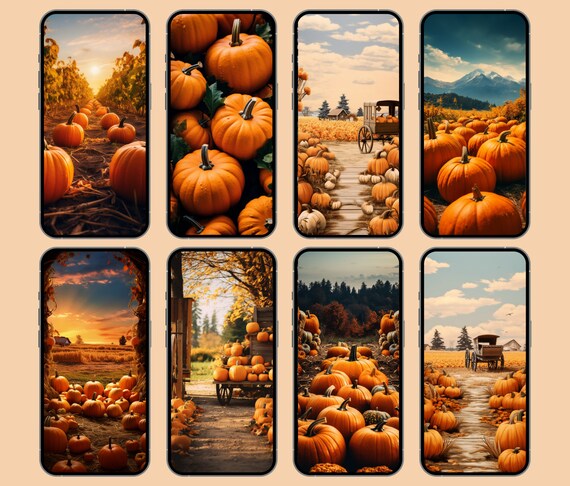 Fall Pumpkin Iphone Wallpaper