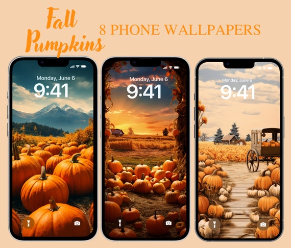 Fall Pumpkin Iphone Wallpaper