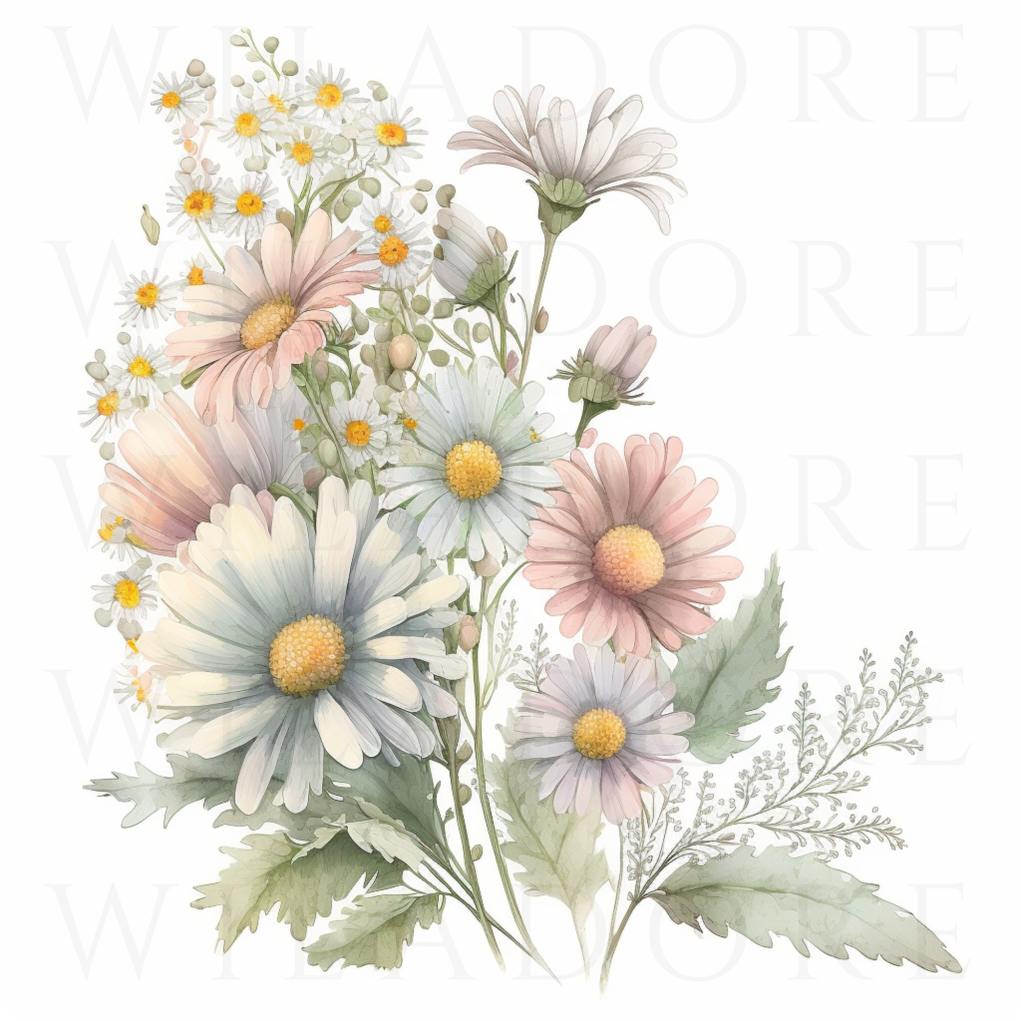 10 Watercolor Daisy Flower Border Art, Corner, Daisy Flowers, Floral ...