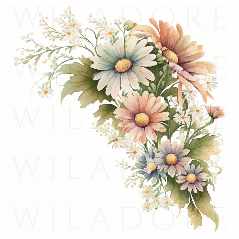 10 Watercolor Daisy Flower Border Art, Corner, Daisy Flowers, Floral ...