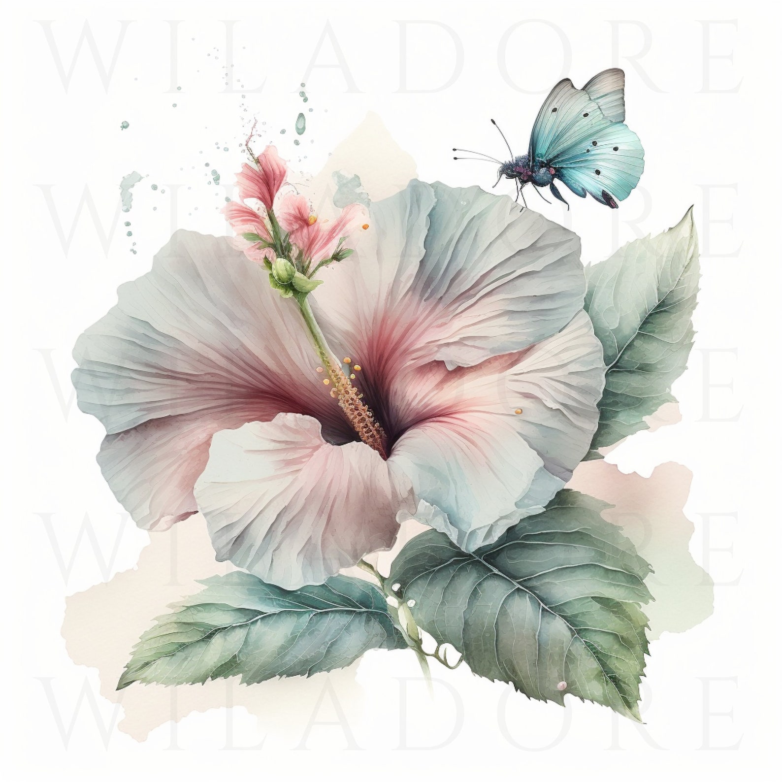 10 Watercolor Floral Clip Art, Hibiscus Flowers, Butterfly, Rain ...