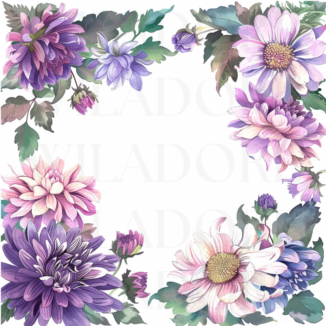 10 Watercolor Aster Flower Square Borders, Fall Autumn Flowers Clipart ...