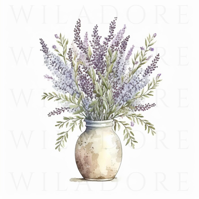 10 Watercolor Lavender Flower Art, Vase, Lavender Flowers, Floral ...