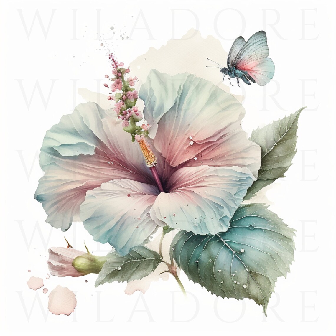 10 Watercolor Floral Clip Art, Hibiscus Flowers, Butterfly, Rain ...