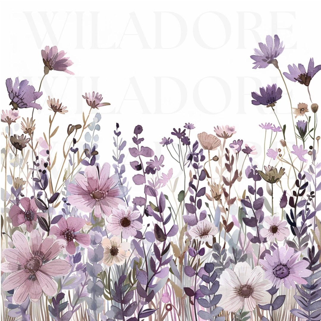 Watercolor Aster Flowers Borders, Meadow, 10 PNG Floral Images, Autumn ...