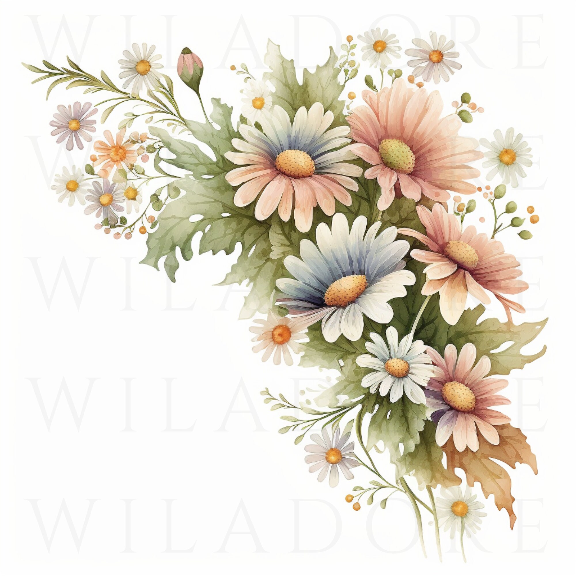 10 Watercolor Daisy Flower Border Art, Corner, Daisy Flowers, Floral ...