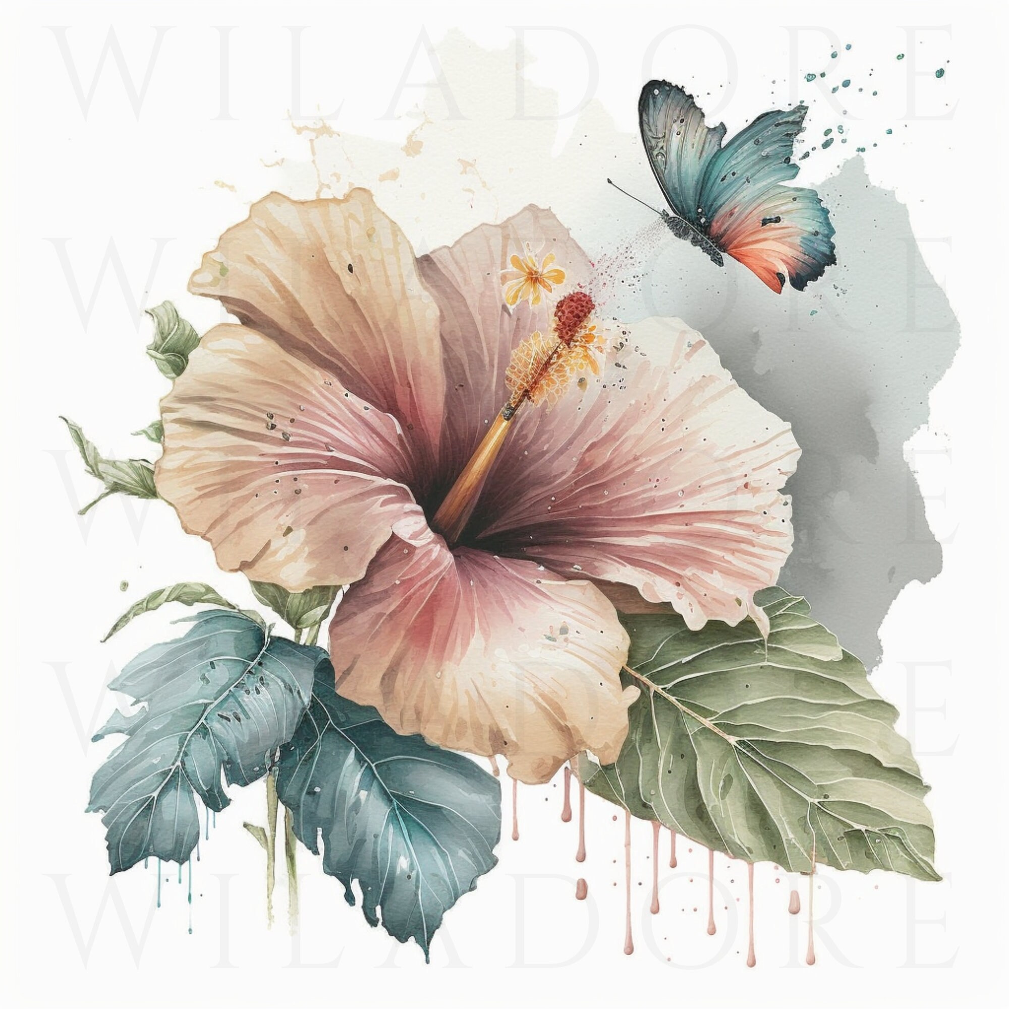 10 Watercolor Floral Clip Art, Hibiscus Flowers, Butterfly, Rain ...