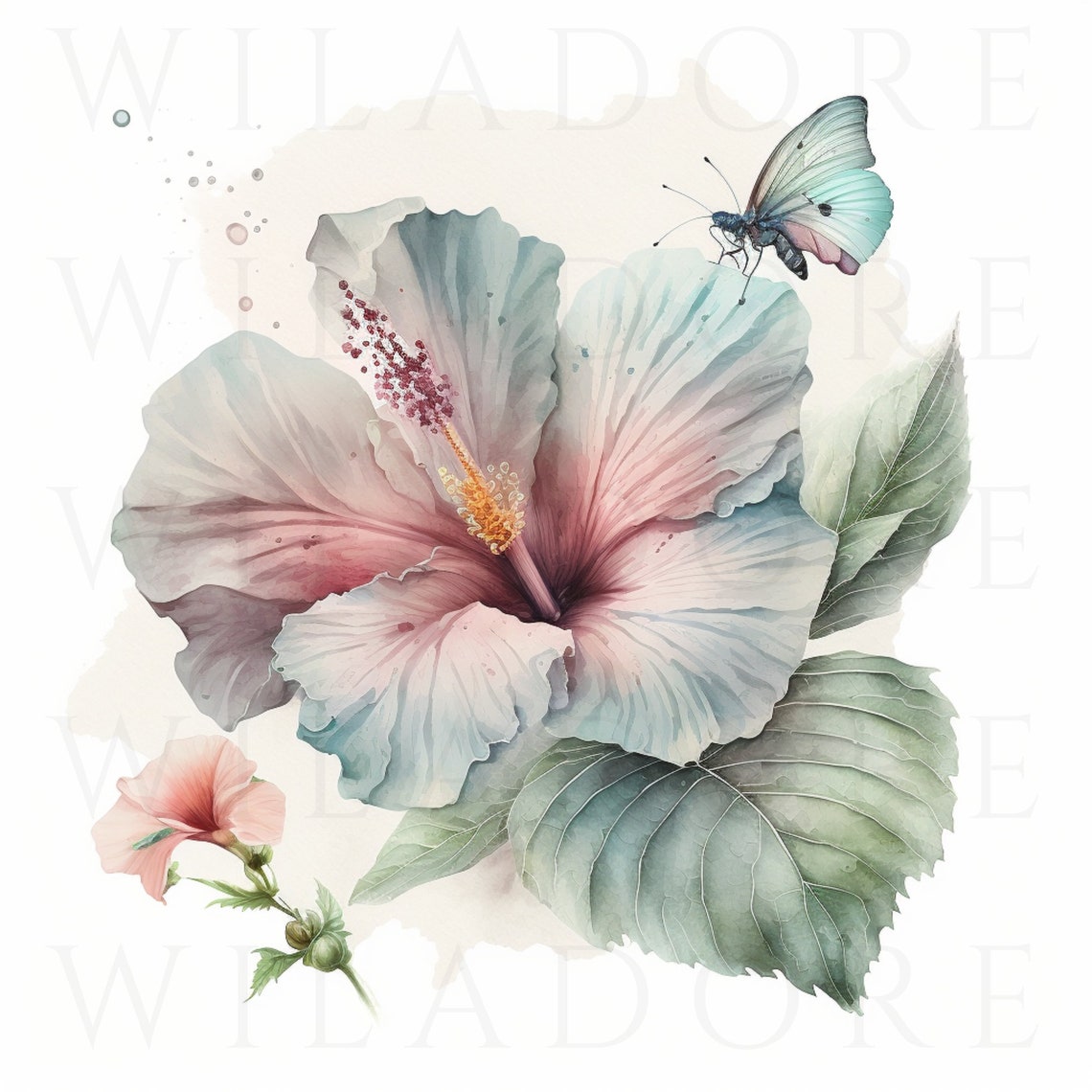 10 Watercolor Floral Clip Art, Hibiscus Flowers, Butterfly, Rain ...