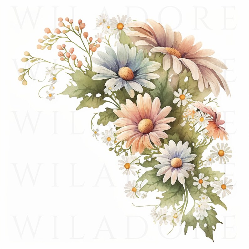 10 Watercolor Daisy Flower Border Art, Corner, Daisy Flowers, Floral Clipart Borders, Wedding ...