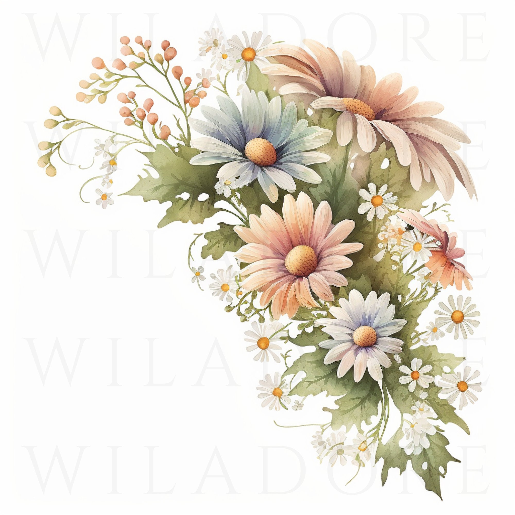 10 Watercolor Daisy Flower Border Art, Corner, Daisy Flowers, Floral ...