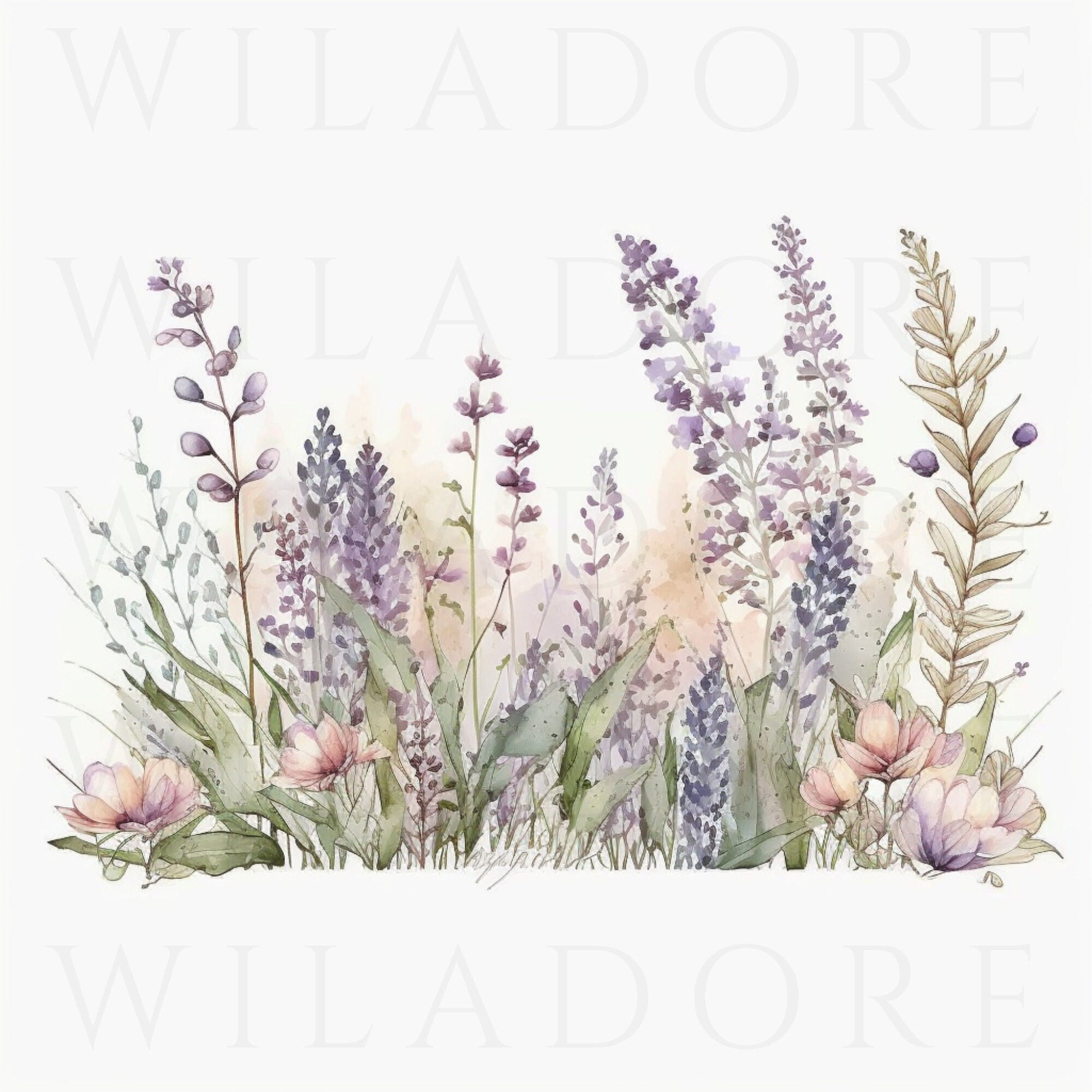 10 Watercolor Lavender Flower Border Art, Lavender Flowers, Floral ...