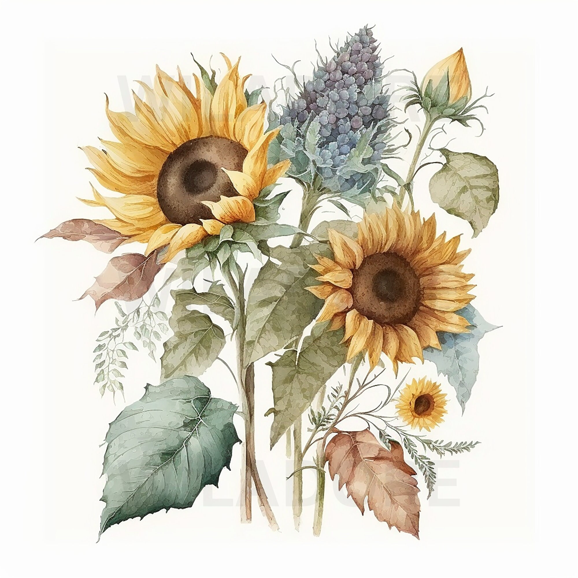 10 Watercolor Various Sunflower Floral Clipart, Flower Print, Printable ...