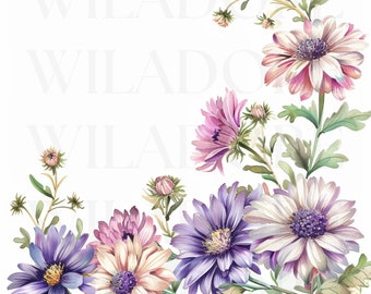 10 Watercolor Aster Flower Square Borders, Fall Autumn Flowers Clipart ...