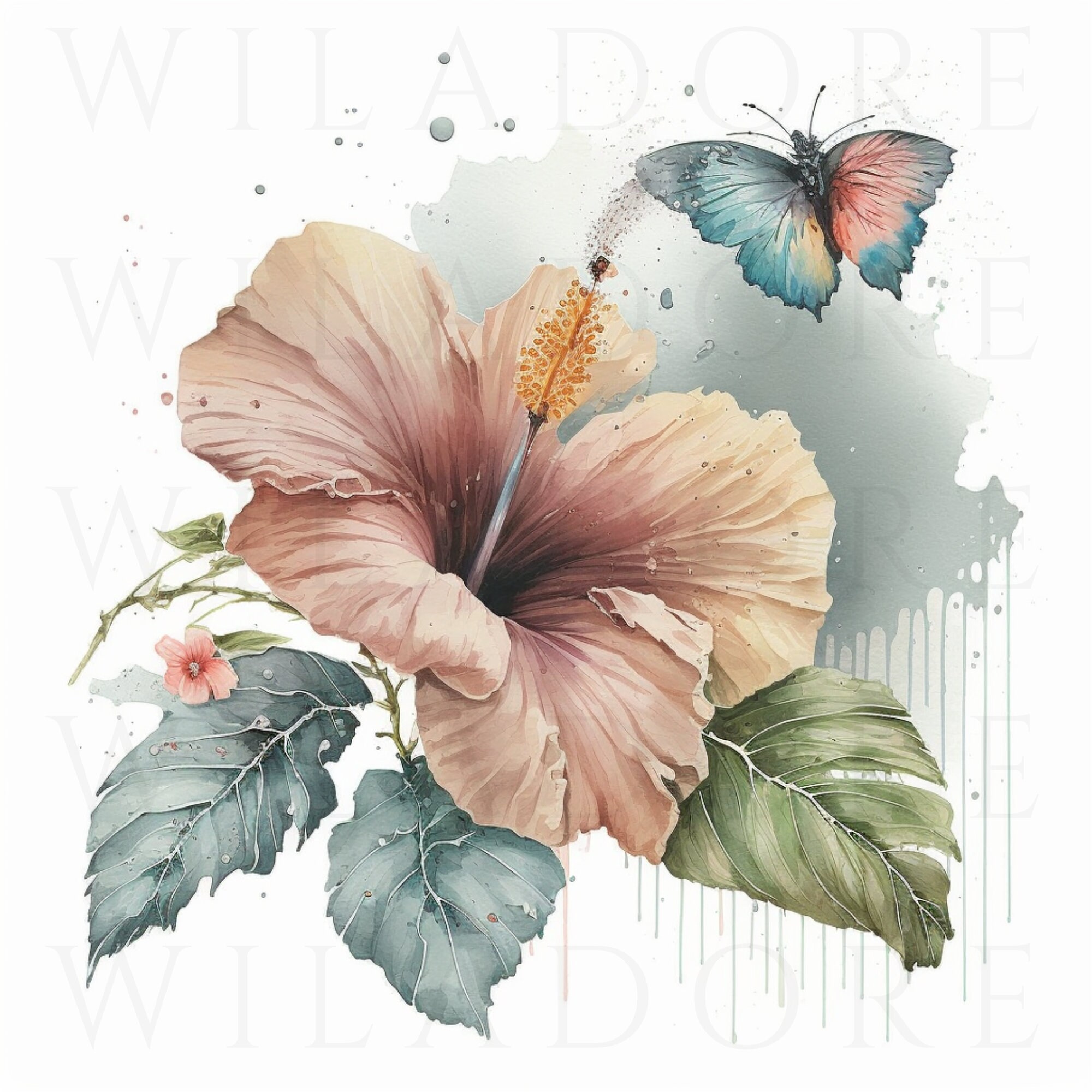 10 Watercolor Floral Clip Art, Hibiscus Flowers, Butterfly, Rain ...