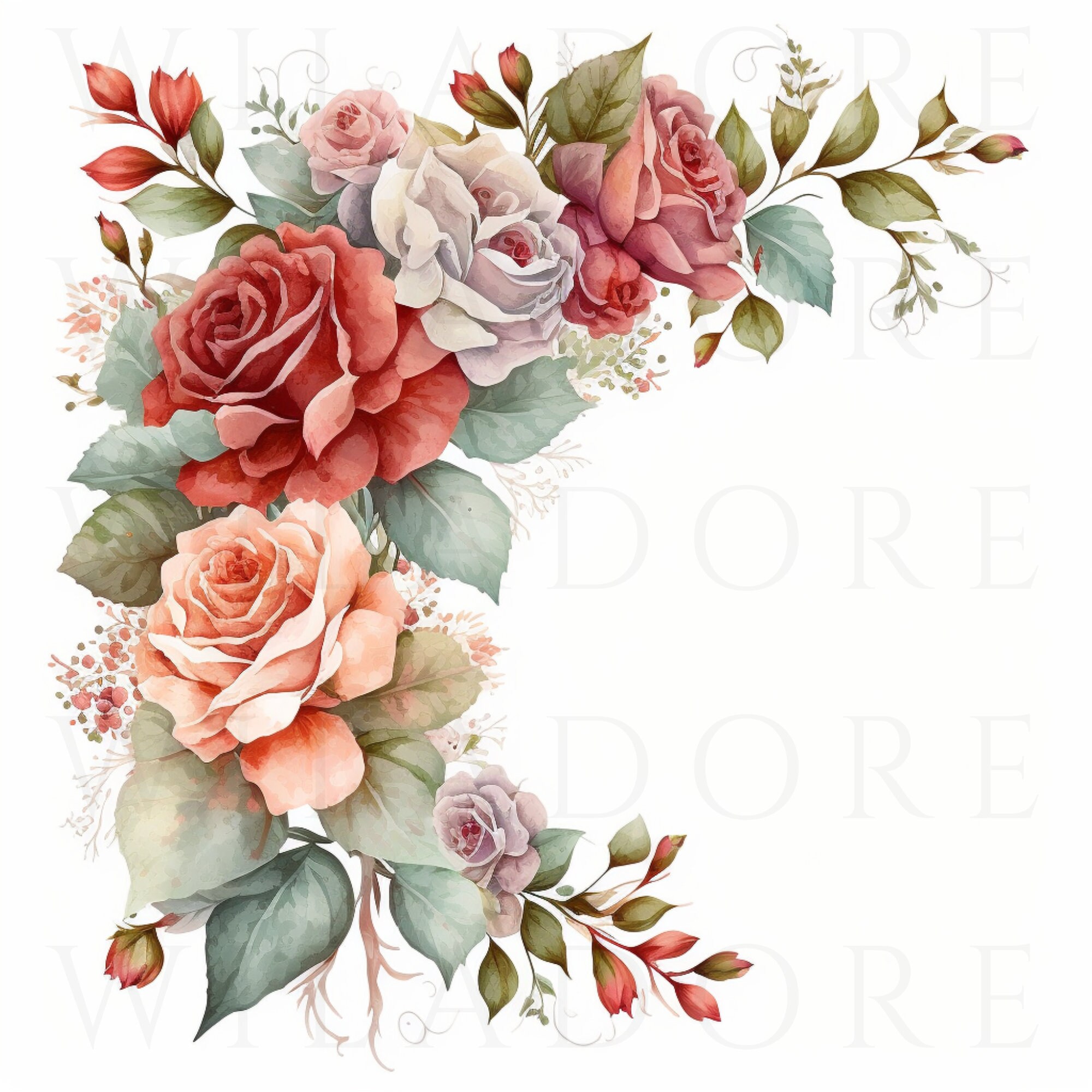 10 Watercolor Rose Flower Border Art, Corner, Roses Flowers, Floral ...