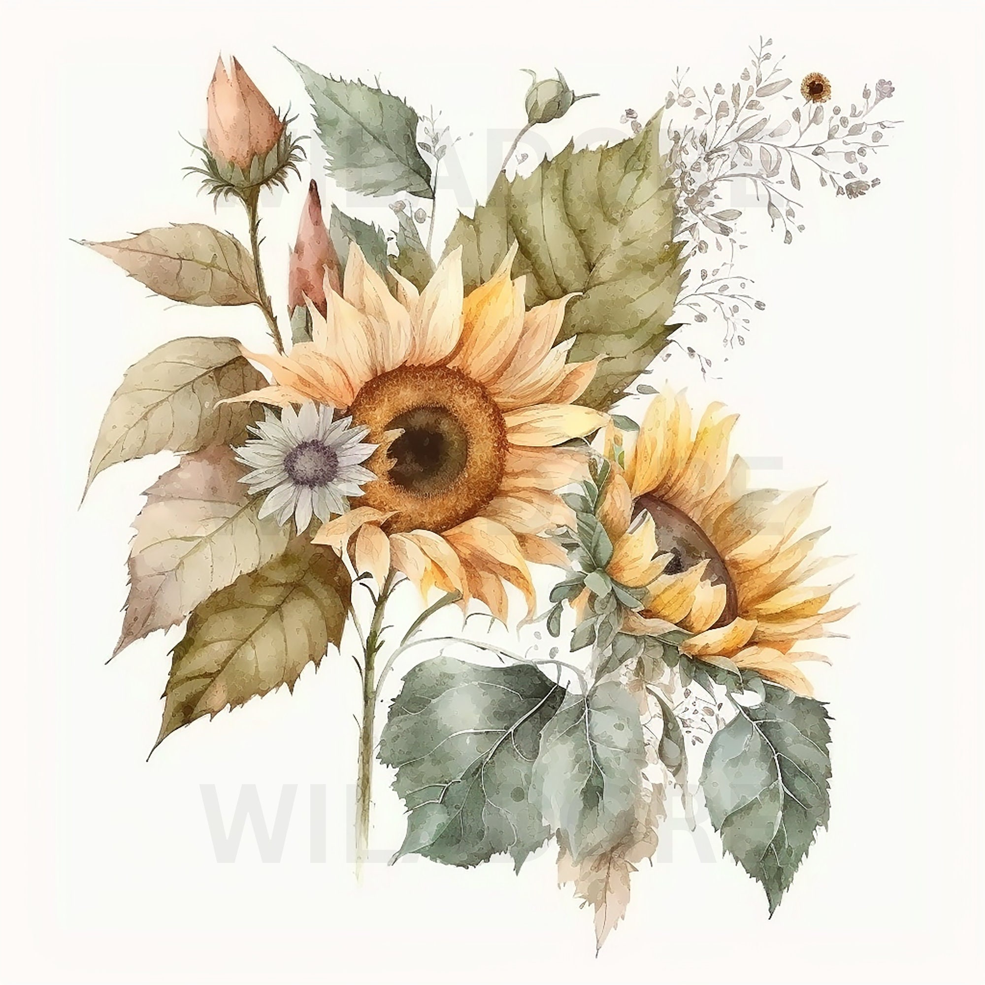 10 Watercolor Various Sunflower Floral Clipart, Flower Print, Printable ...
