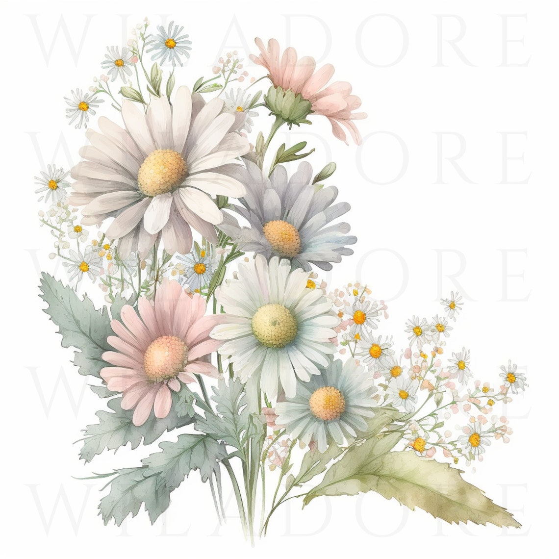 10 Watercolor Daisy Flower Border Art, Corner, Daisy Flowers, Floral ...