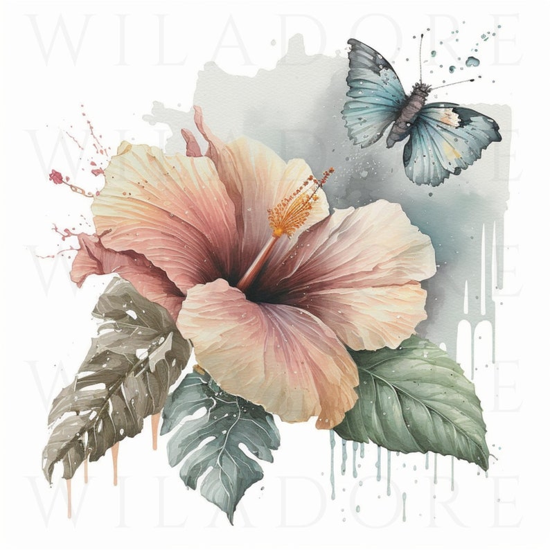 10 Watercolor Floral Clip Art, Hibiscus Flowers, Butterfly, Rain ...