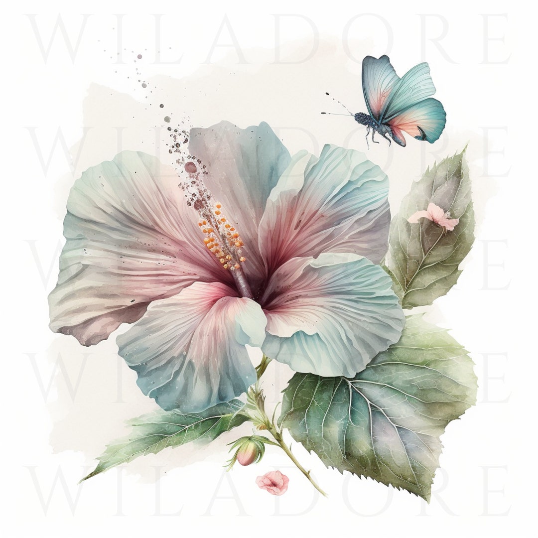 10 Watercolor Floral Clip Art, Hibiscus Flowers, Butterfly, Rain ...