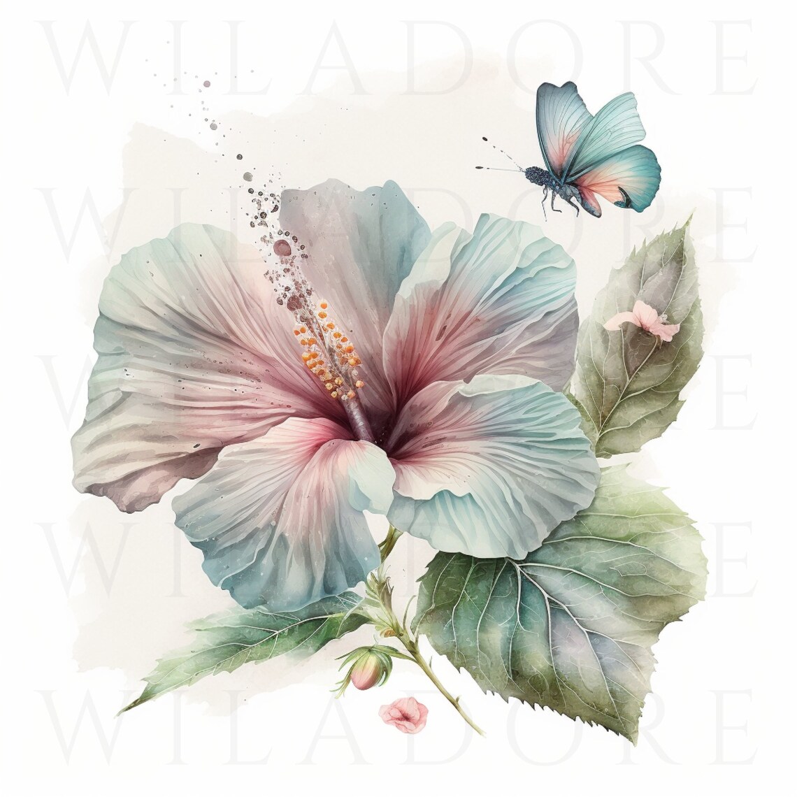 10 Watercolor Floral Clip Art, Hibiscus Flowers, Butterfly, Rain ...