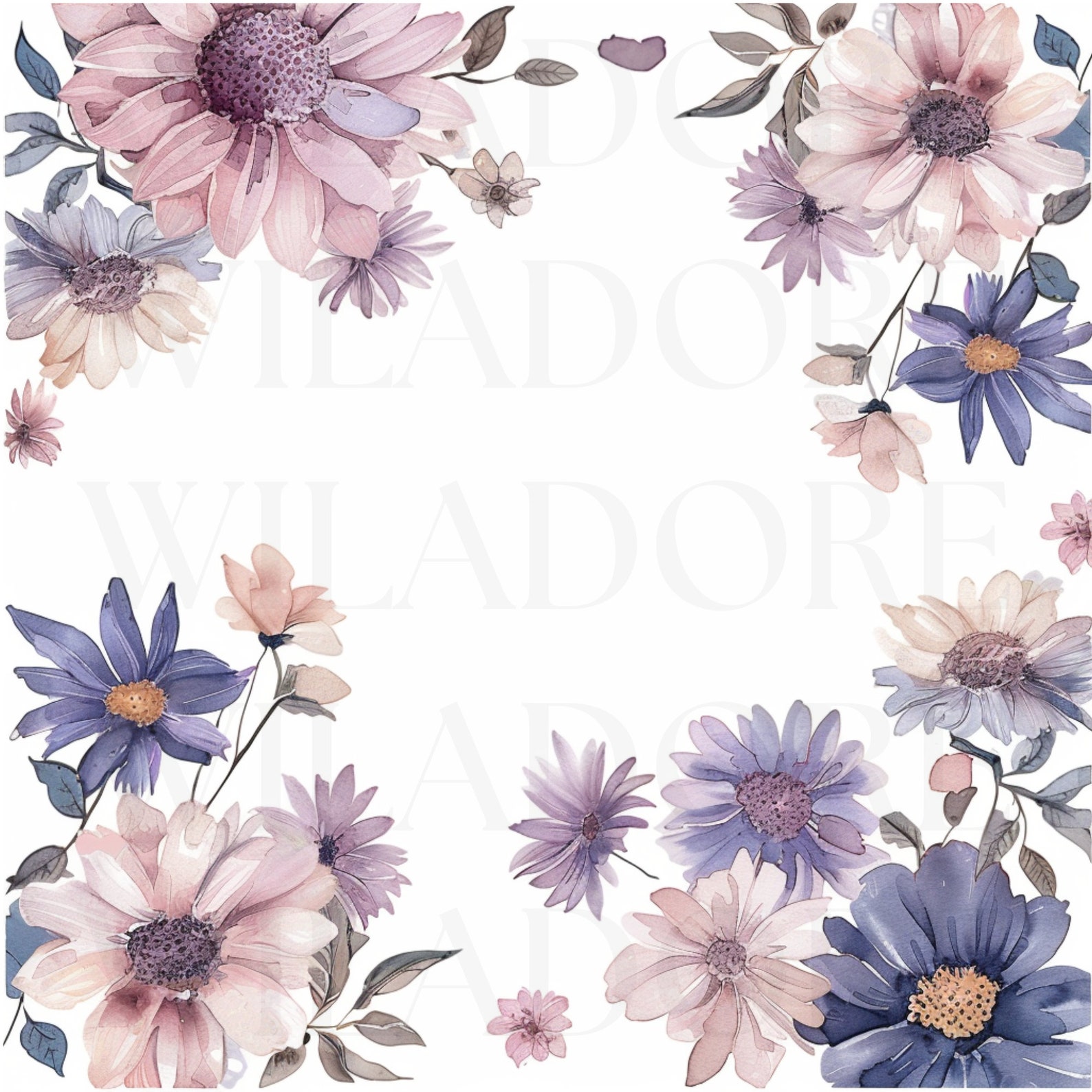 10 Watercolor Aster Flower Square Borders, Fall Autumn Flowers Clipart ...