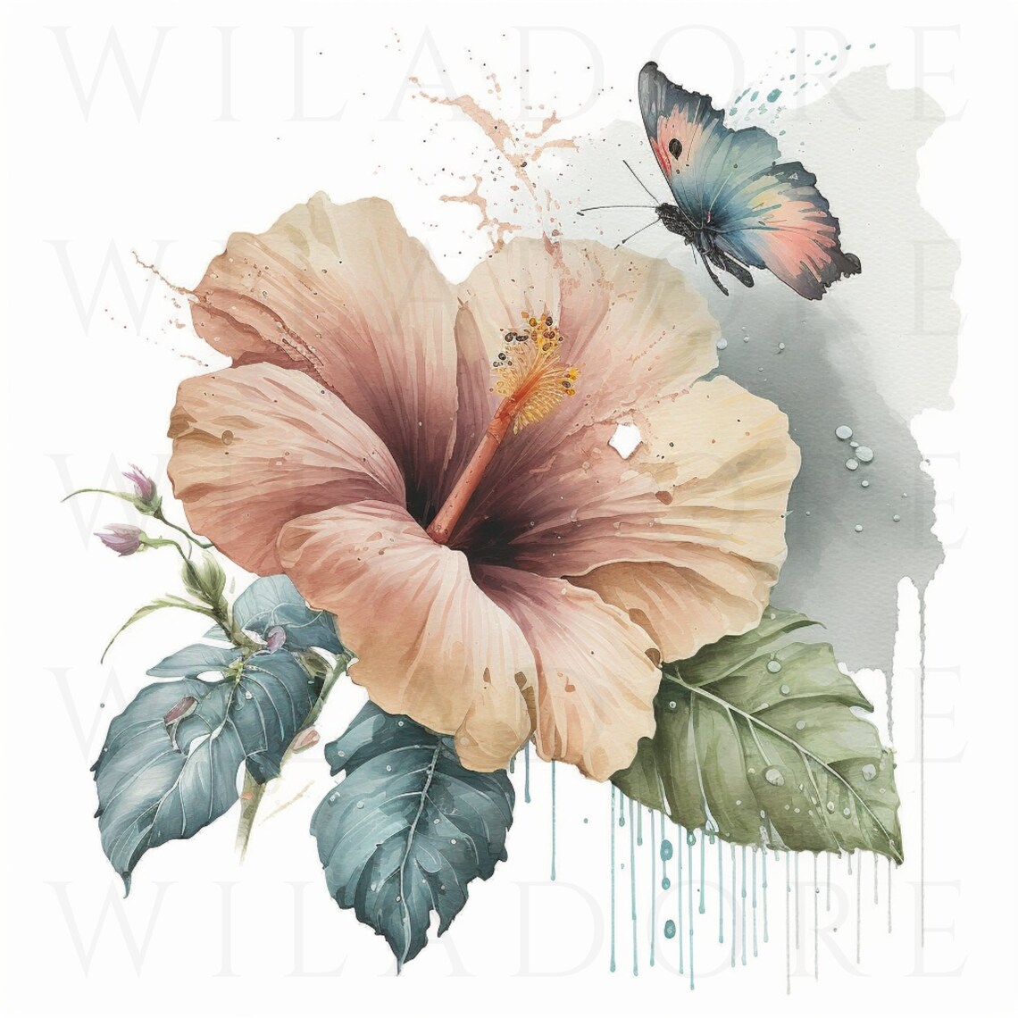 10 Watercolor Floral Clip Art, Hibiscus Flowers, Butterfly, Rain ...