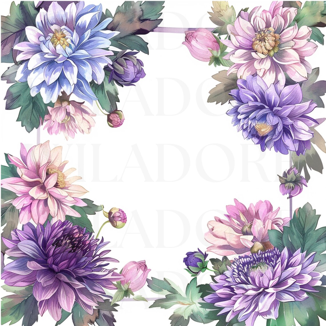 10 Watercolor Aster Flower Square Borders, Fall Autumn Flowers Clipart ...