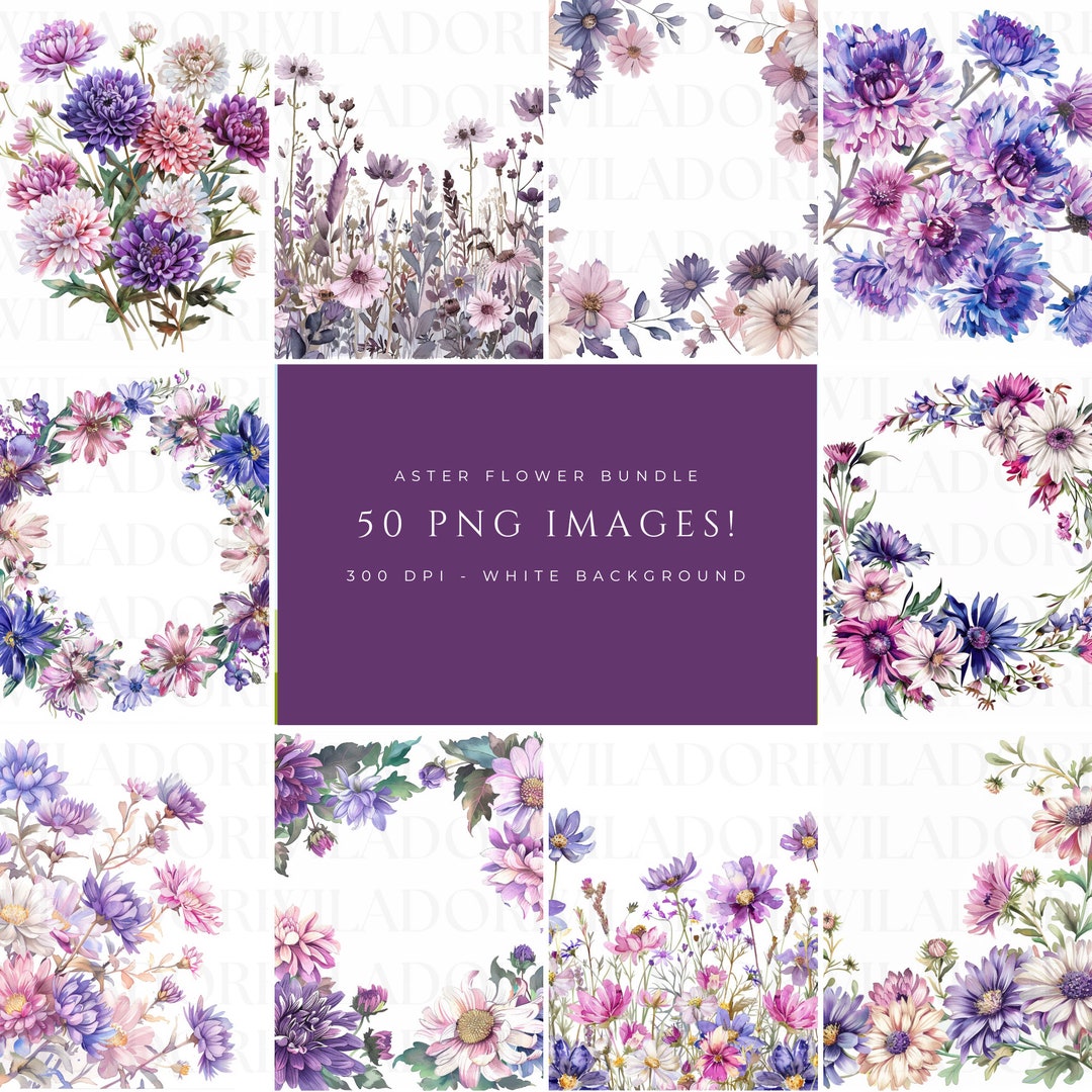 50 Bundle, Watercolor Aster Flower Borders, Fall Autumn Flowers Clipart ...