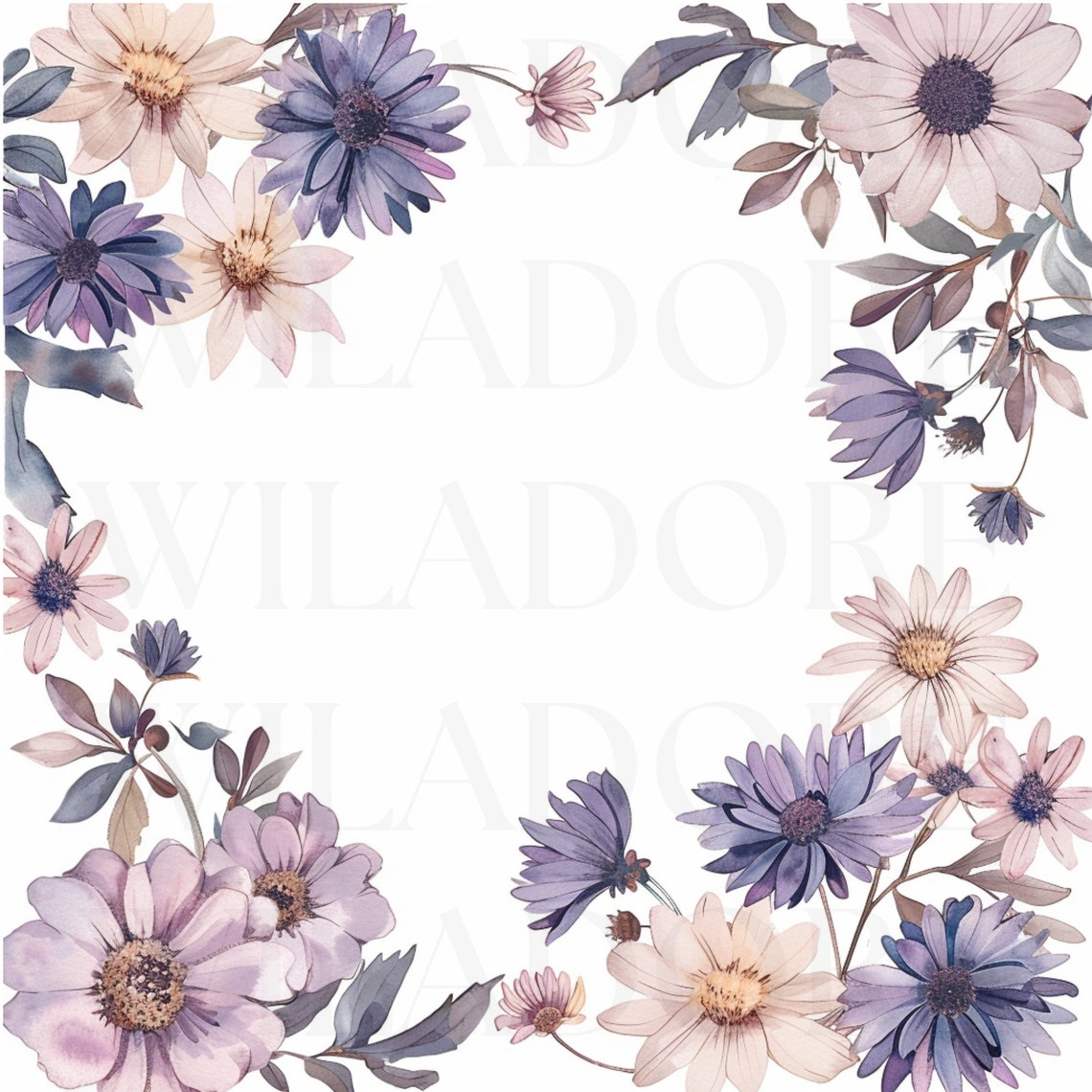 10 Watercolor Aster Flower Square Borders, Fall Autumn Flowers Clipart ...